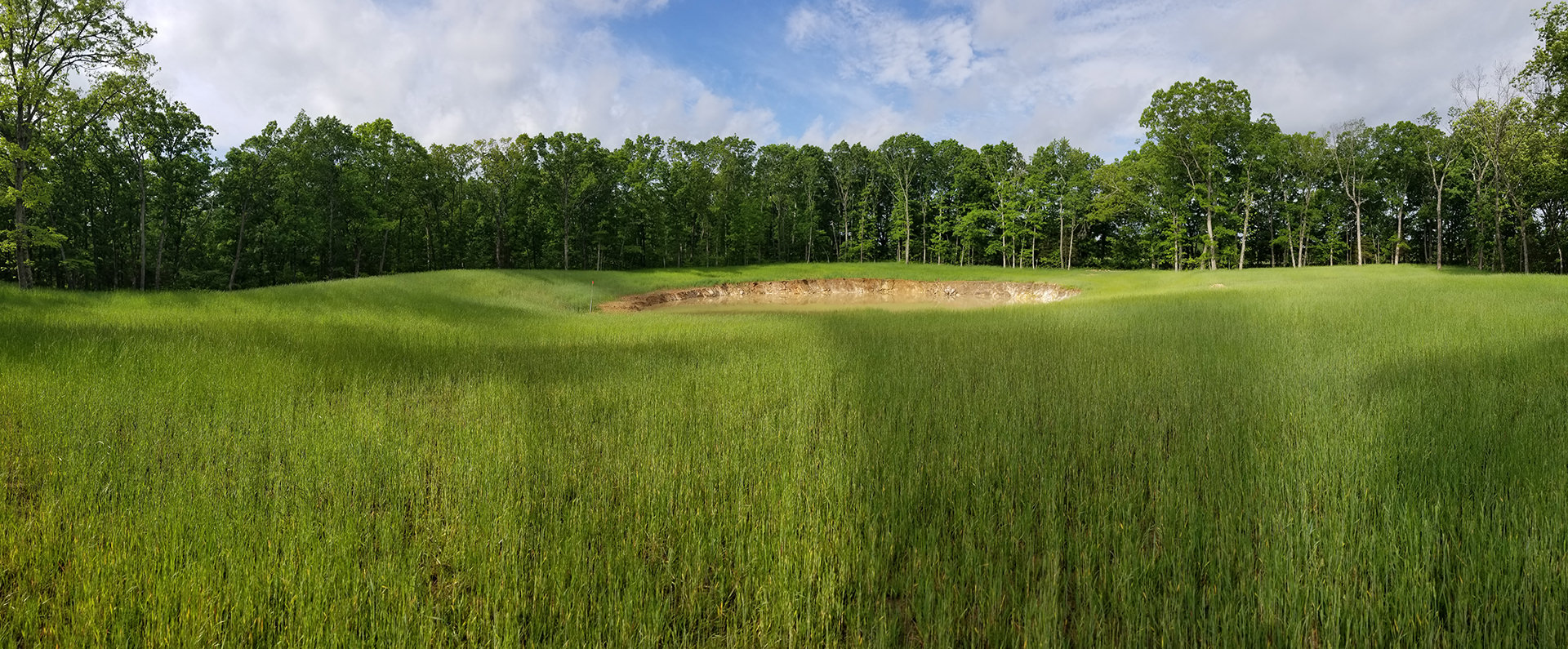 Building a Sustainable Future - HWI